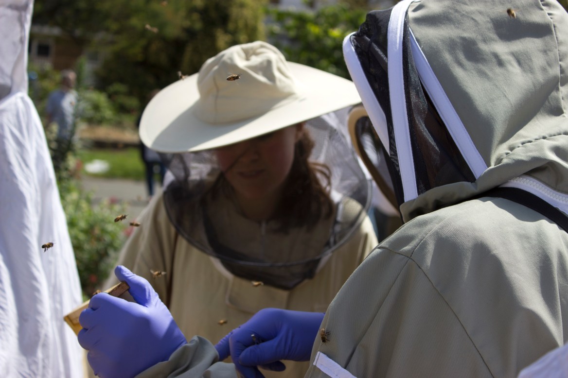 Bee Health Day at the London Beekeepers Association | Mrs Apis Mellifera