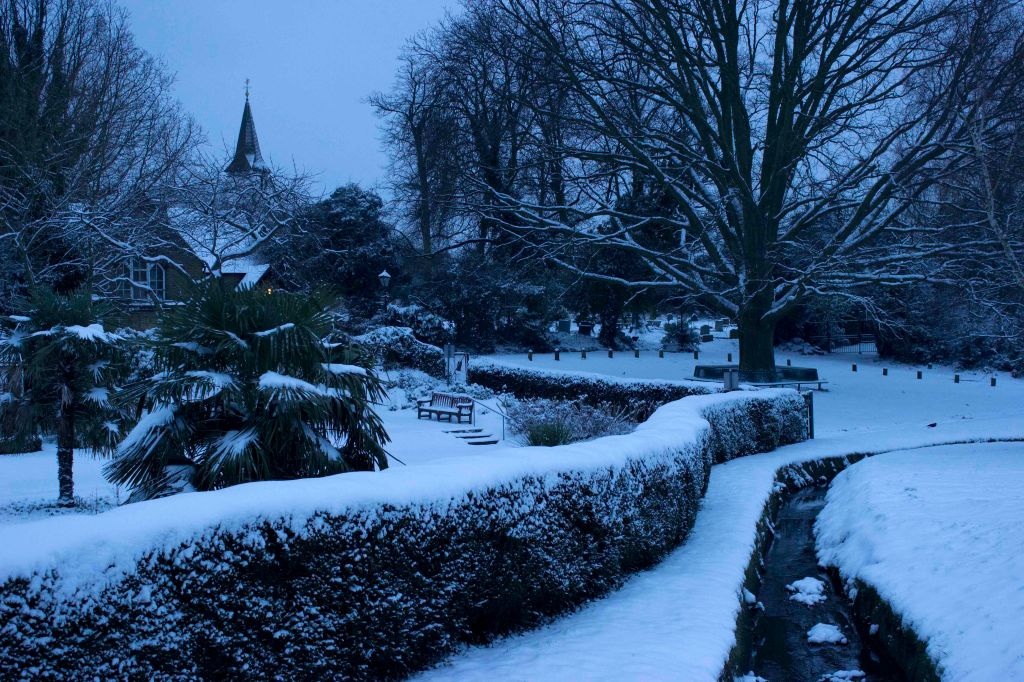 Snowmageddon | Mrs Apis Mellifera