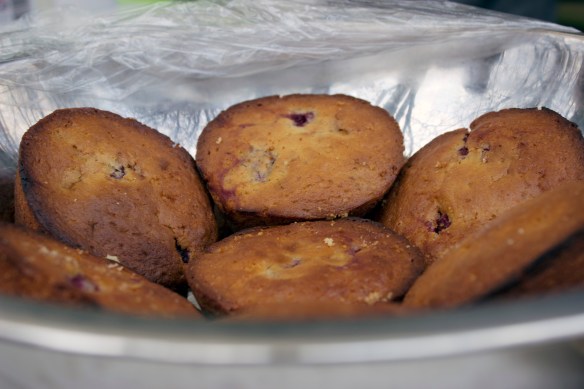 Winter watch for bees | Mrs Apis Mellifera