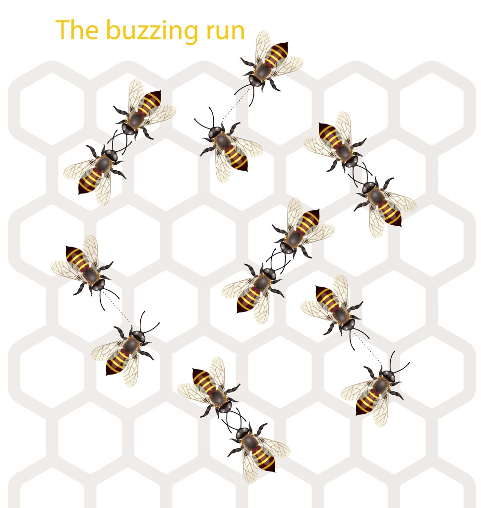 Winter studies: The social network of honeybees | Mrs Apis Mellifera