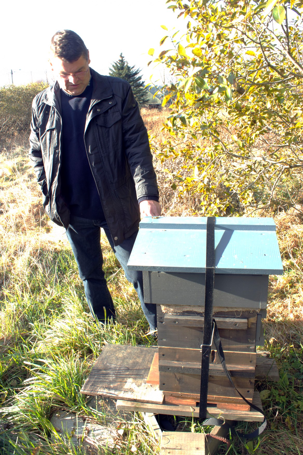 The wheel turns | Mrs Apis Mellifera